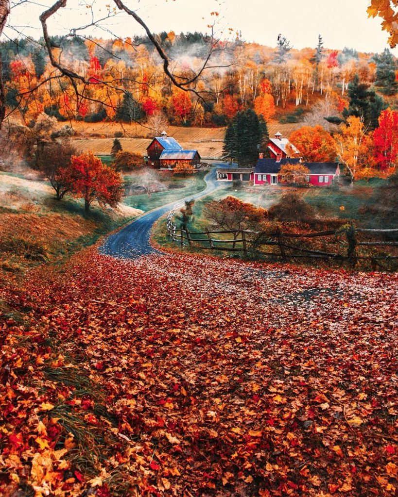 Autumn Reasoner | Thighs Wide Shut